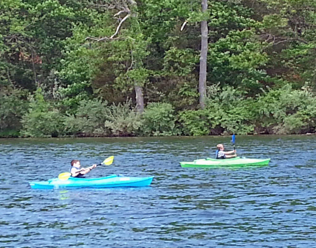 Living on North Lake - North Lake Protection Association